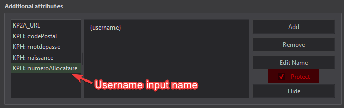 Two steps credentials plus custom fields (better use of "KPH: inputName") · Issue #1149 ...