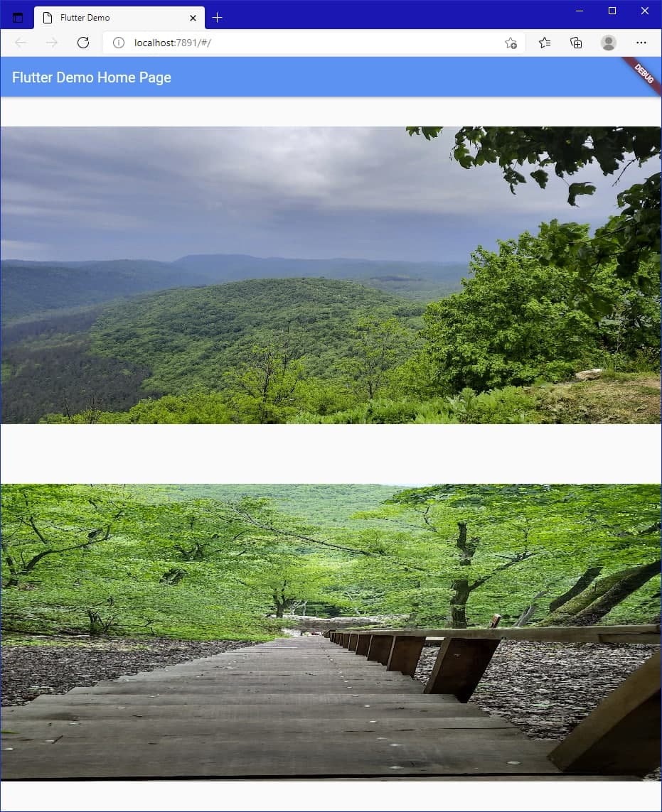 [Web, CanvasKit] instantiateImageCodec loads EXIF-rotated images incorrectly · Issue #84937 ...