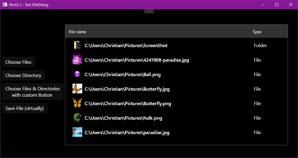 GitHub - castorix/WinUI3_IFileDialog