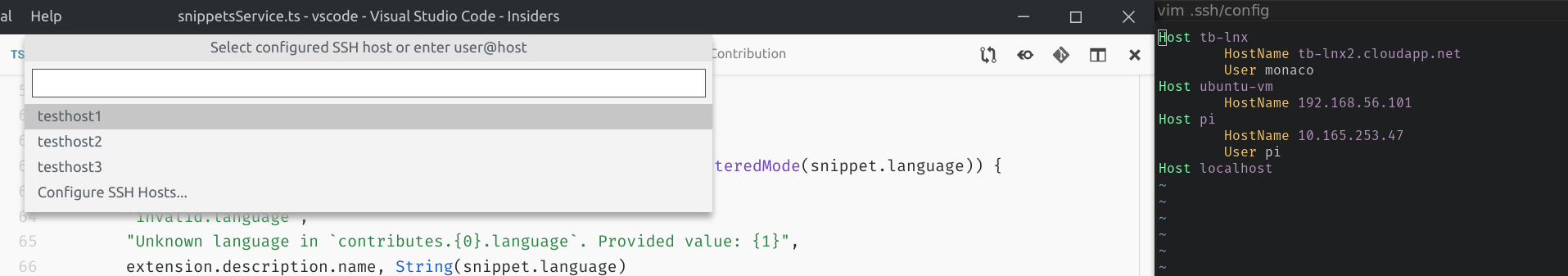 Remote SSH extension tests messed with my user settings · Issue #646 ...