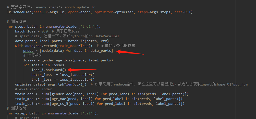 关于mxnetgluon的一些建议使用方面 · Issue 17224 · Apachemxnet · Github 4821