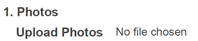 No File Choosen in displayed for images uploaded to a File question ...