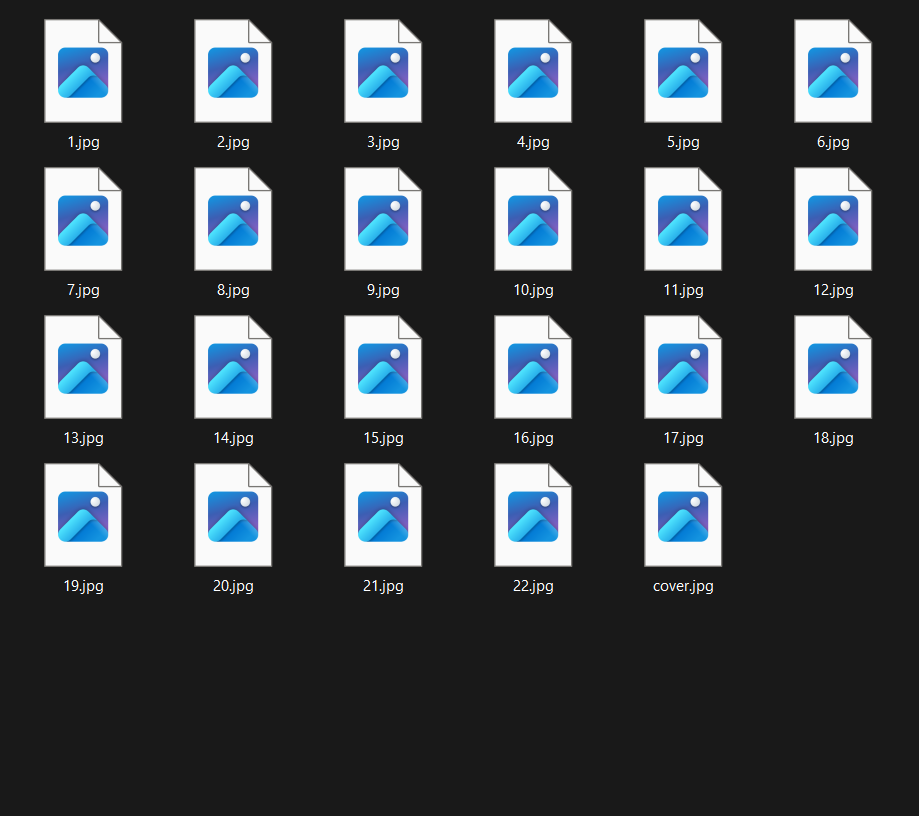 Images Beyond Cover Do Not Load · Issue 1929 · Edrlab Thorium Reader · Github