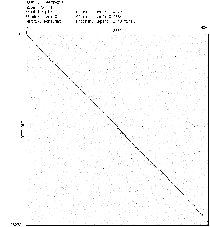 gepardcmd gives neither output nor error · Issue #11 · univieCUBE/gepard · GitHub