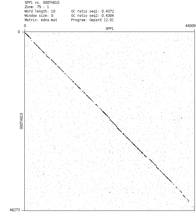 gepardcmd gives neither output nor error · Issue #11 · univieCUBE/gepard · GitHub