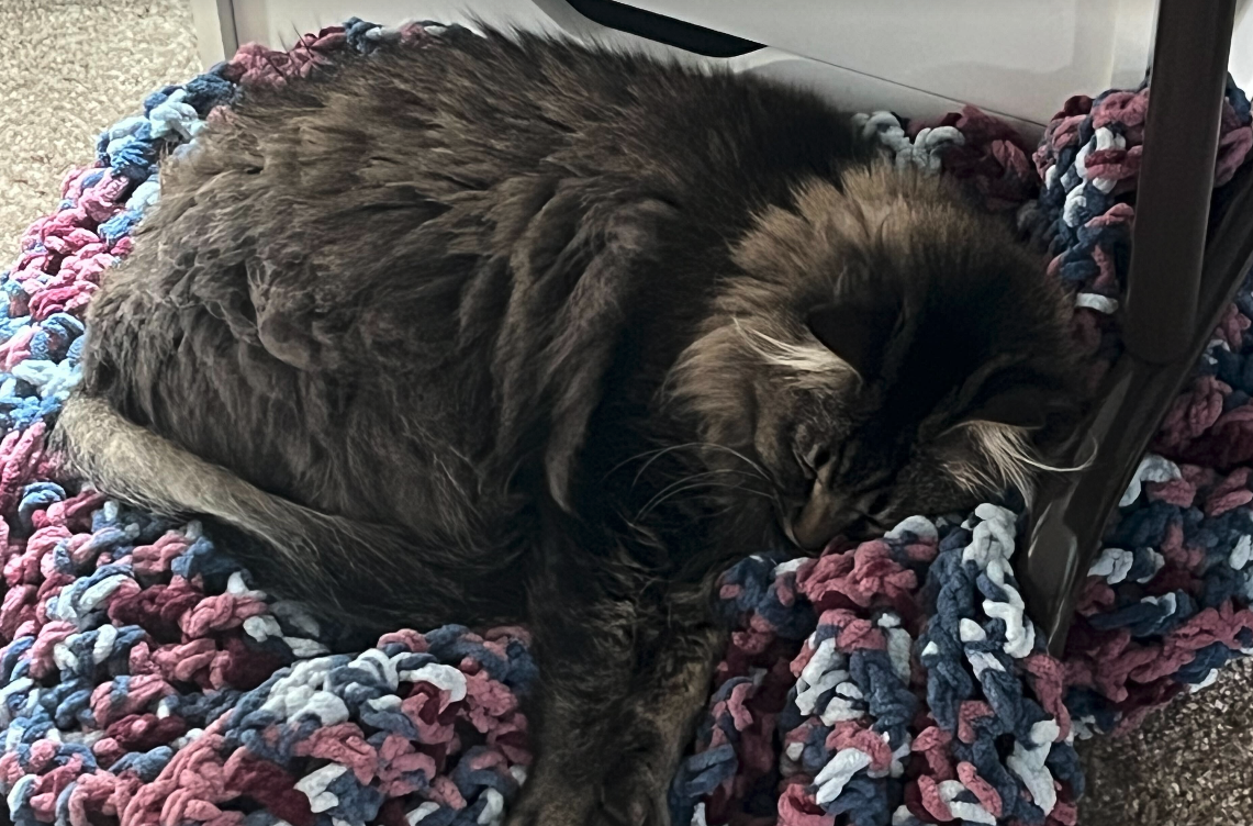 More Cats · Issue 1653 · Twitterthe Algorithm · Github 2650