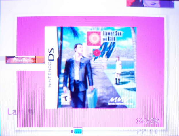 UI elements in DSi/3DS theme disappear upon completed loading when ...