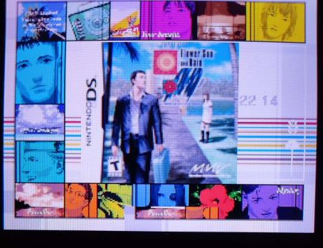 UI elements in DSi/3DS theme disappear upon completed loading when ...