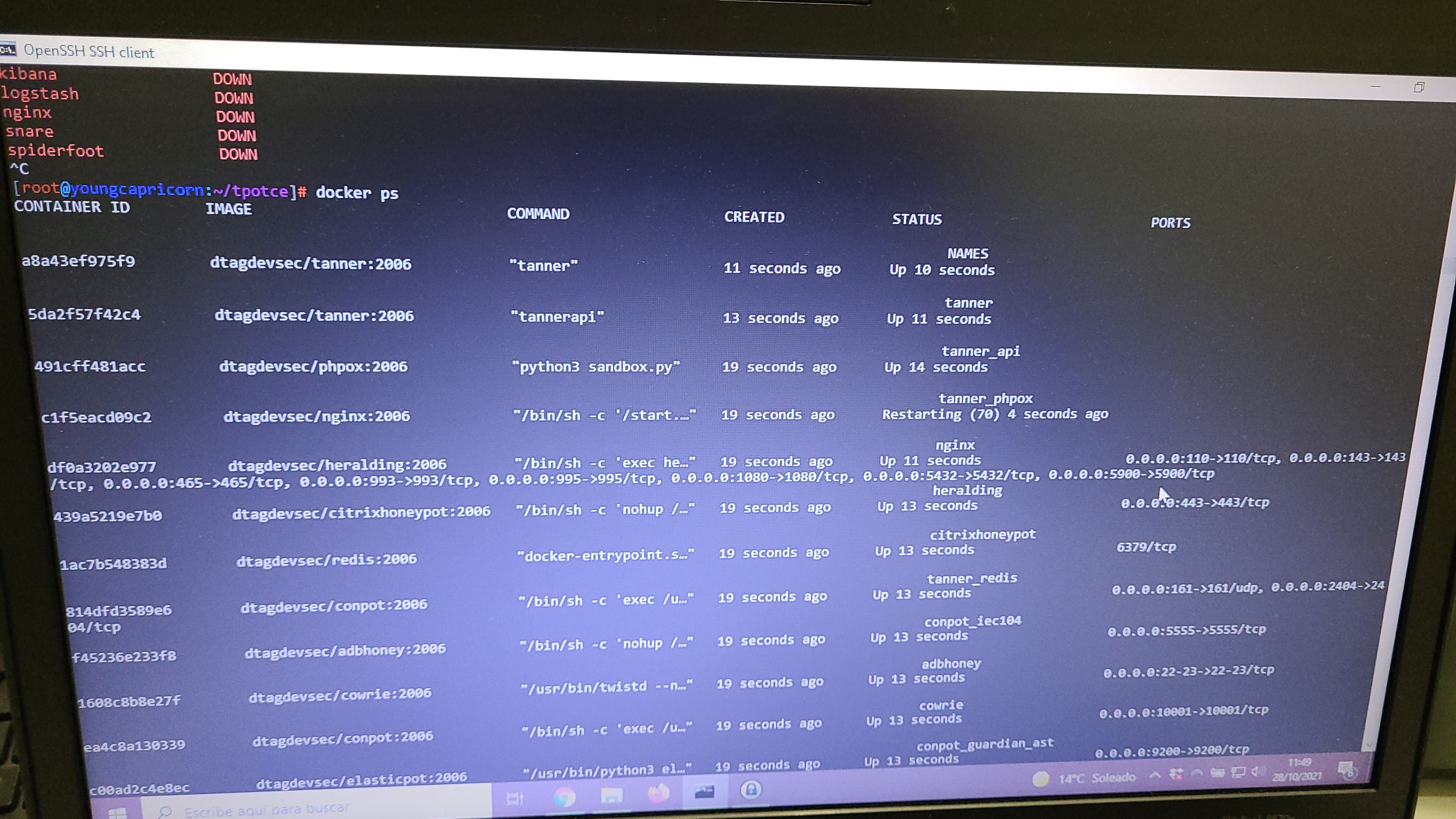 Dockers get up and down every little bit, solution? · Issue #1231 · EpistasisLab/tpot · GitHub