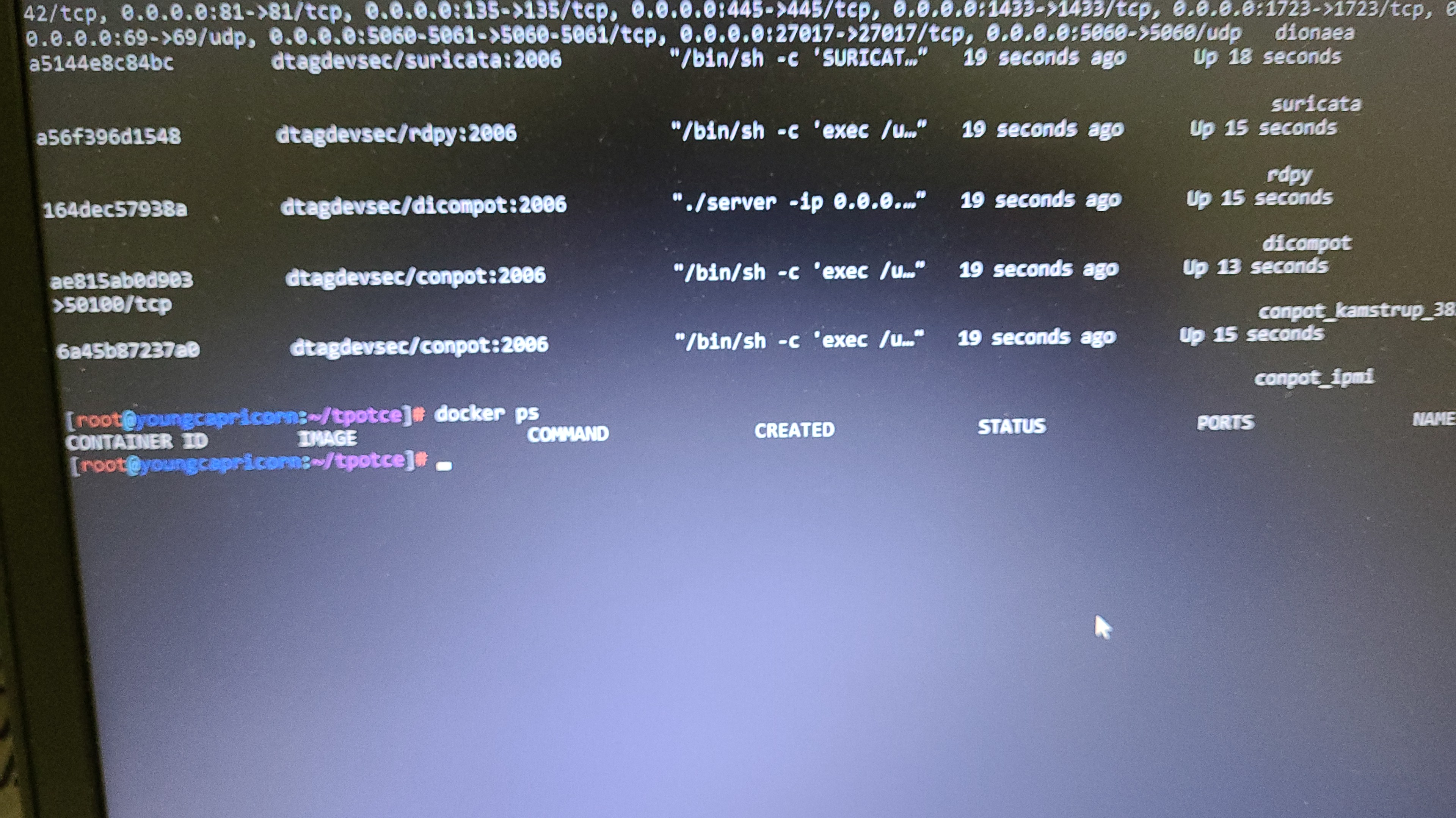 Dockers get up and down every little bit, solution? · Issue #1231 ...