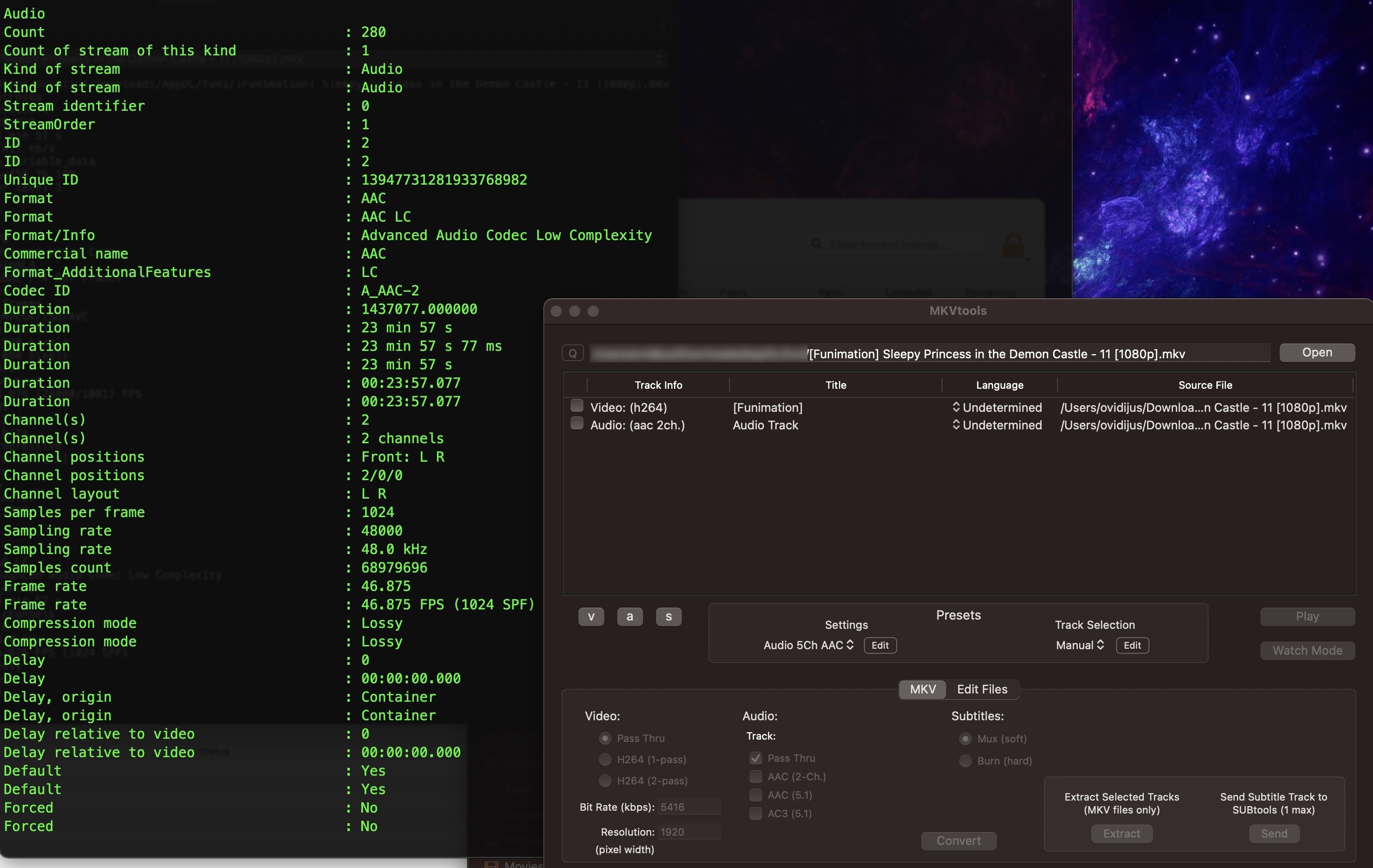 [BUG] language not being applied · Issue #63 · anidl/multi-downloader-nx · GitHub
