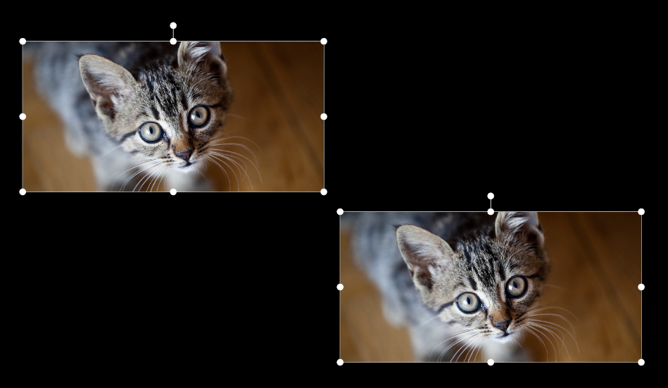 How to load multiple Image Objects with same image file?