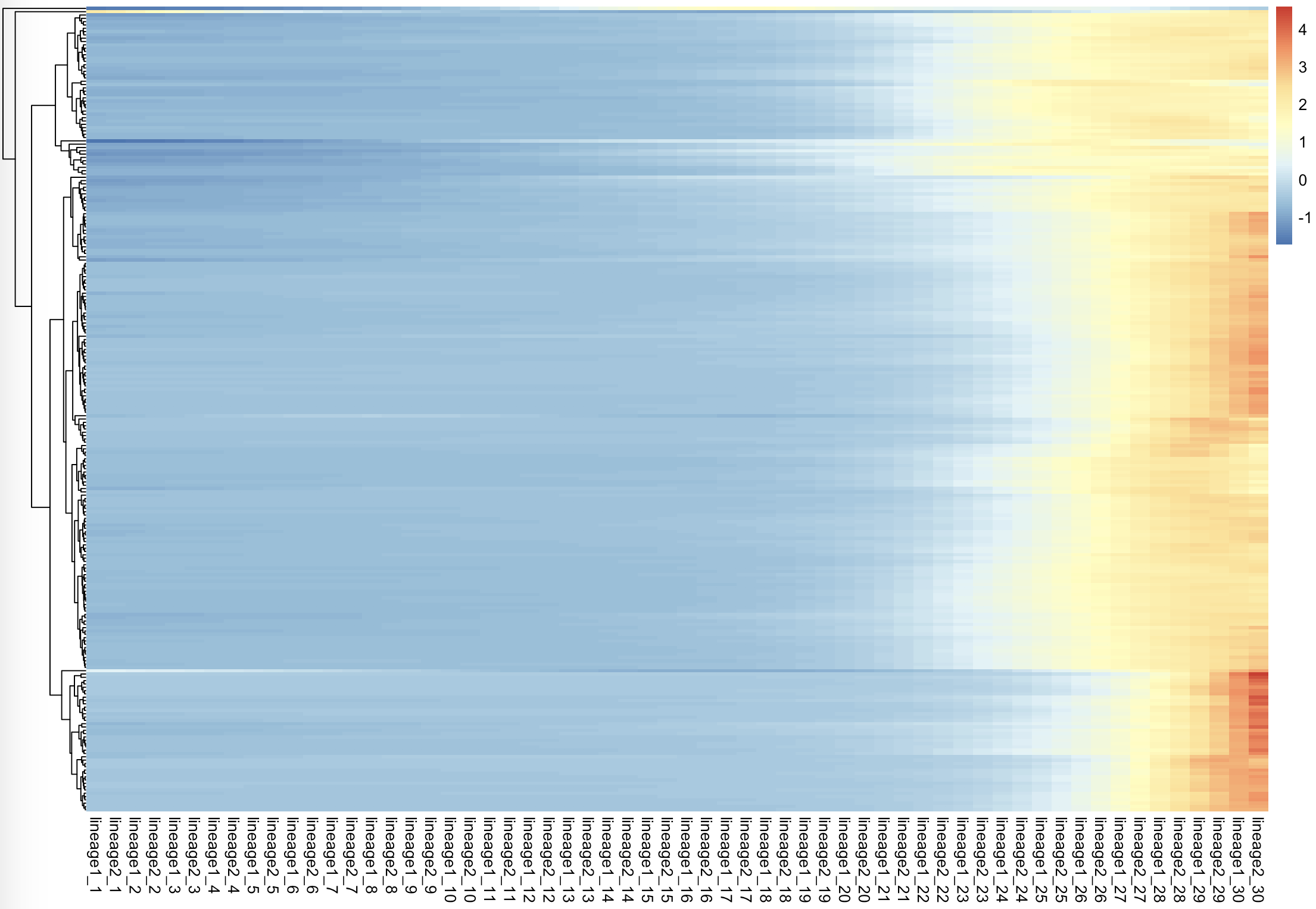 bisection in heatmap after predictSmooth · Issue #132 · statOmics ...