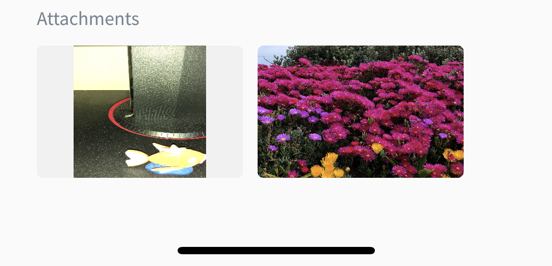 Fullscreen then play onTap · Issue #342 · fluttercommunity/chewie · GitHub