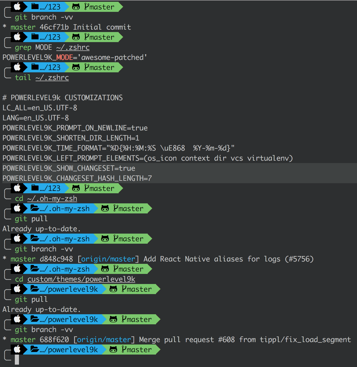 POWERLEVEL9K_SHOW_CHANGESET does not work · Issue #623 · Powerlevel9k/powerlevel9k · GitHub
