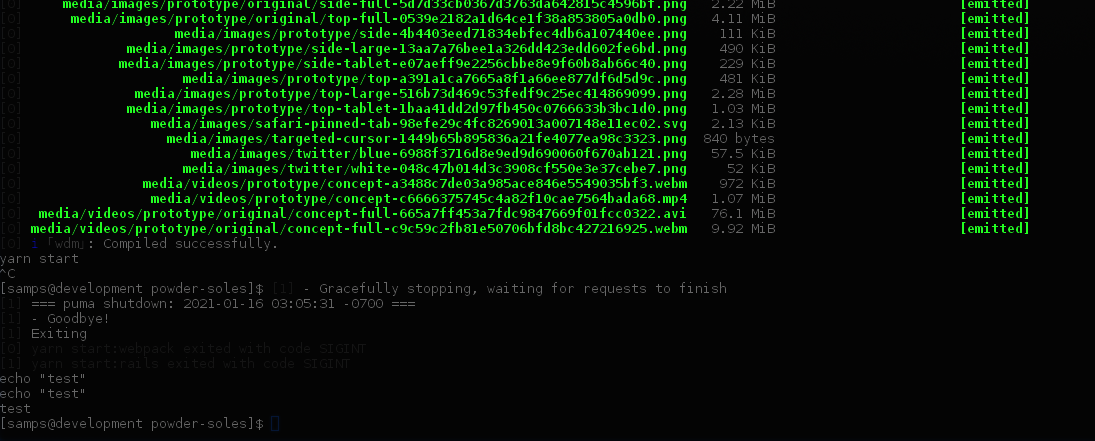 Terminal input prompt not shown on script exit · Issue #255 · open-cli-tools/concurrently · GitHub