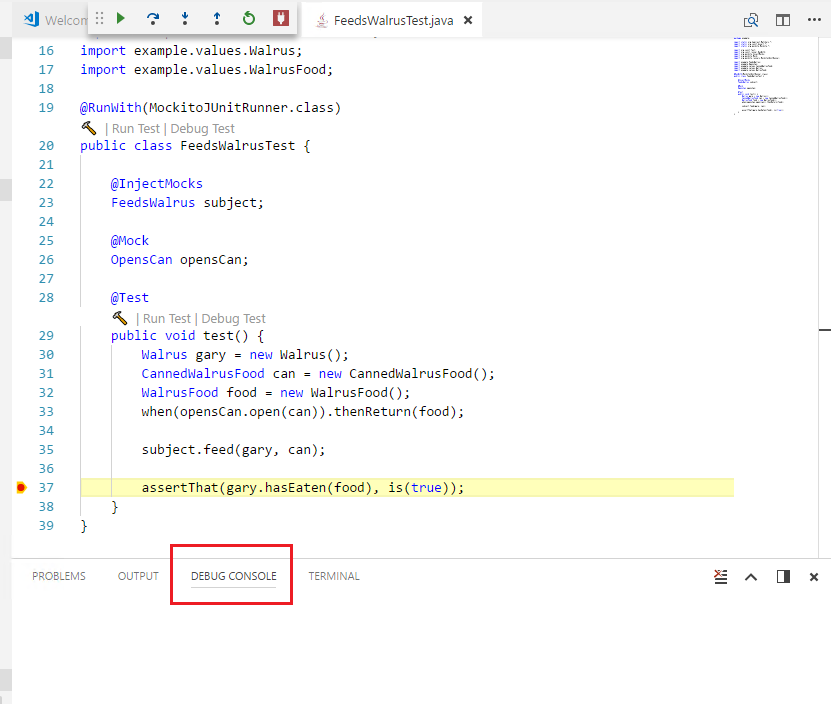 Debug Console Will Open When First Debug Test A Project · Issue 6