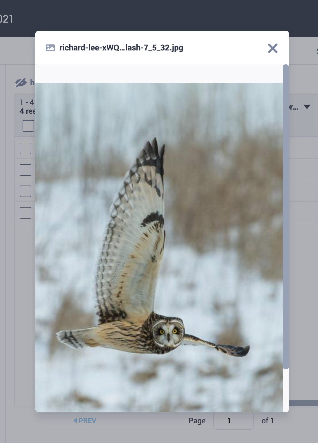 [NLP] UX/UI fixes to front end (version in kvar) · Issue #3567 · kobotoolbox/kpi · GitHub