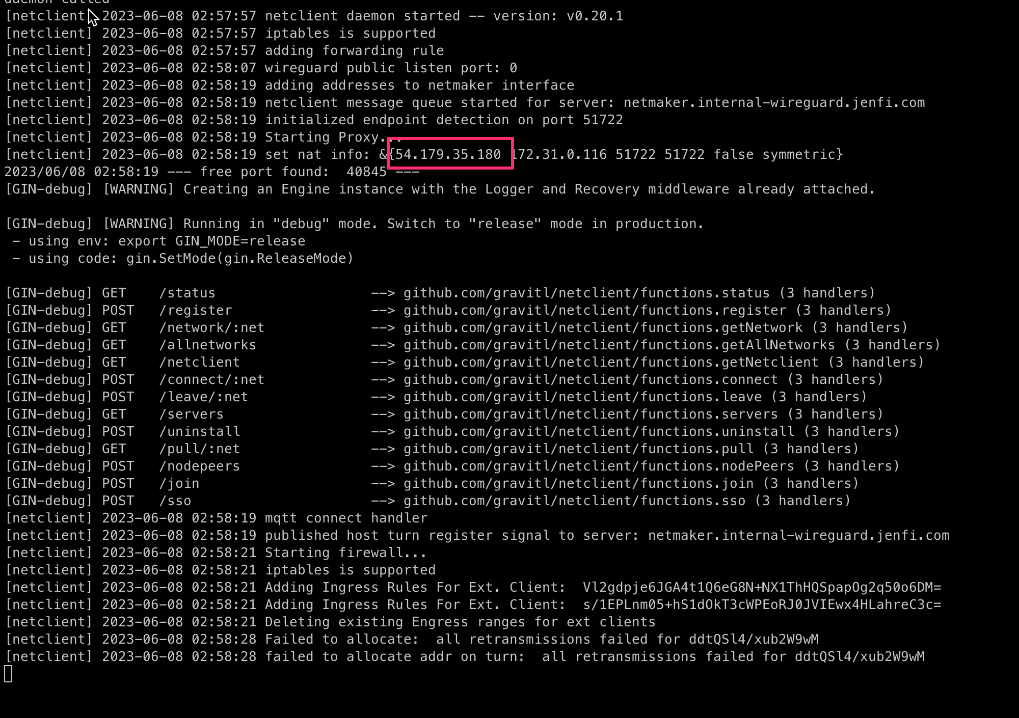 [bug] Can T Update Endpoint In Ui · Issue 2378 · Gravitl Netmaker · Github
