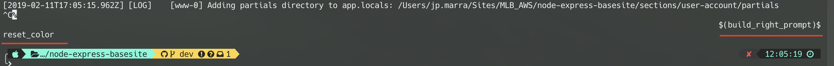 When I quickly press CTRL + c, `$RPROMPT_PREFIX$(build_right_prompt)` appears. · Issue #812 ...