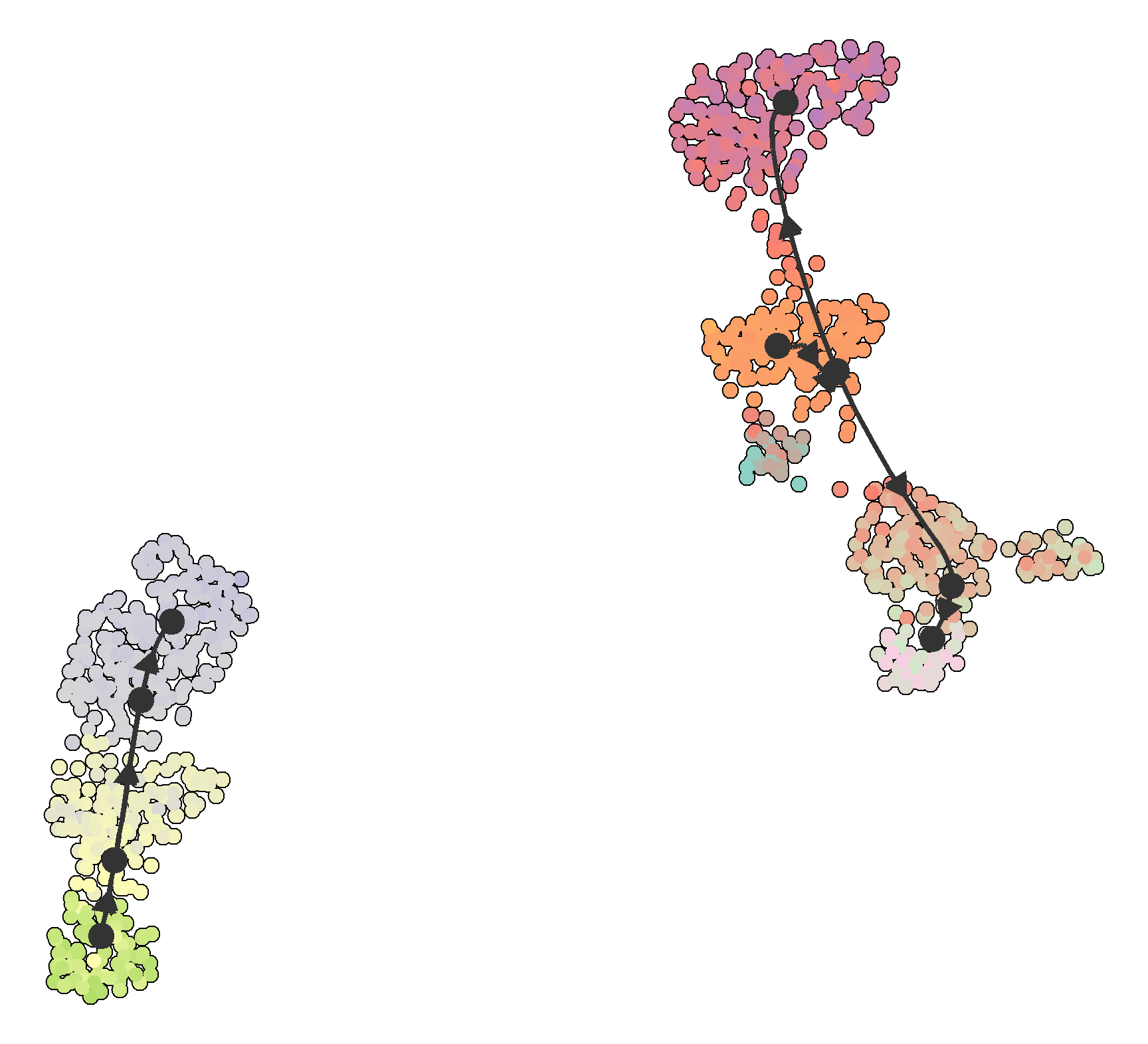 ti_paga dropping cells · Issue #3 · dynverse/ti_paga · GitHub