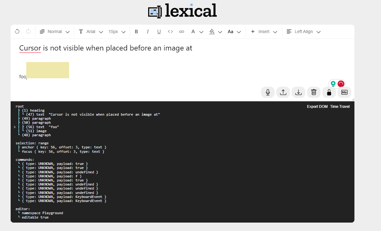 Bug: сursor is not visible when placed before an image · Issue #5063 · facebook/lexical · GitHub
