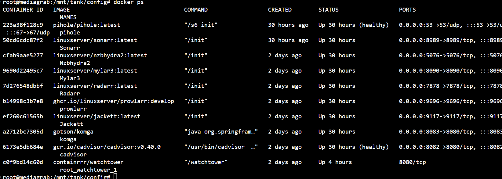 Docker Integration Issues · gethomepage homepage · Discussion #972 · GitHub