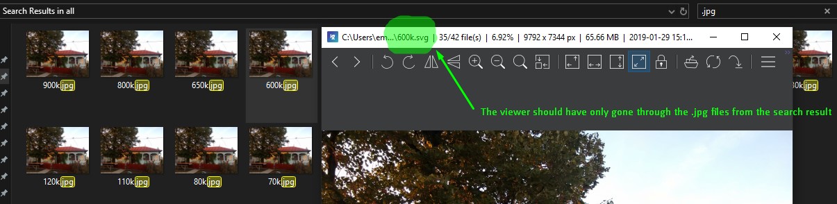 Opens wrong next image after filtering search results · Issue #493 · d2phap/ImageGlass · GitHub
