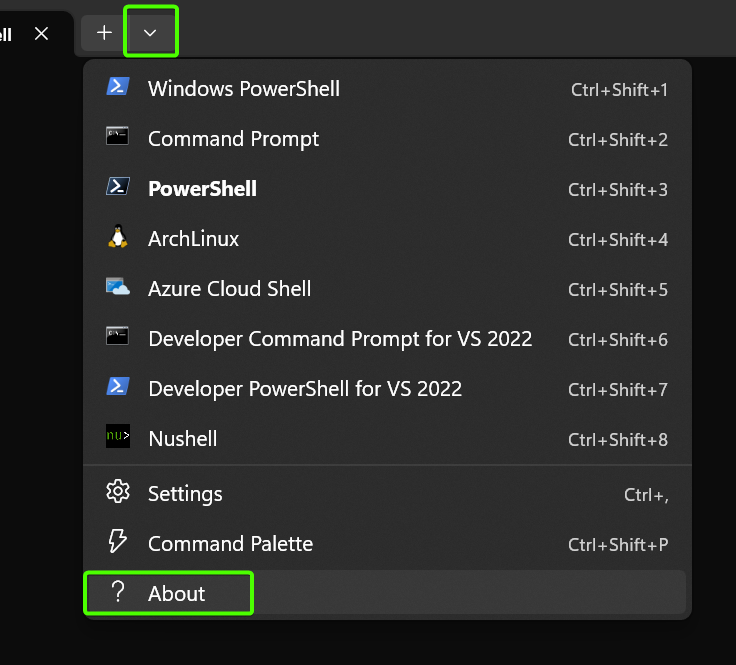 Some icons are not rendered correctly even after using Oh My Posh and Terminal-Icons · Issue ...