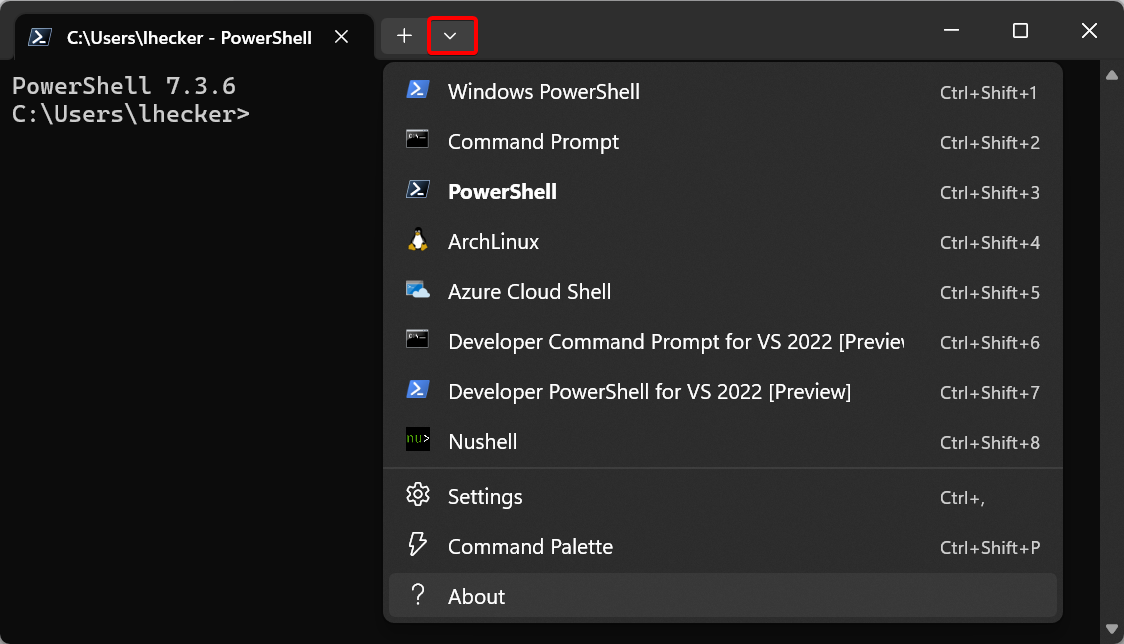 System performance extremely poor when Windows Terminal is open during ...