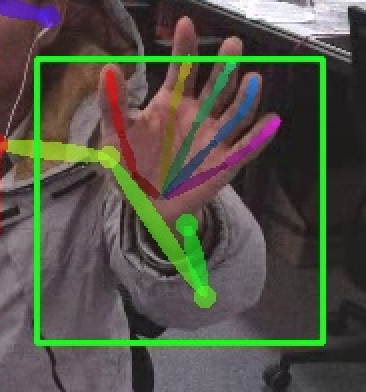 Tried to detect hand alone, failed. · Issue #1471 · CMU-Perceptual-Computing-Lab/openpose · GitHub
