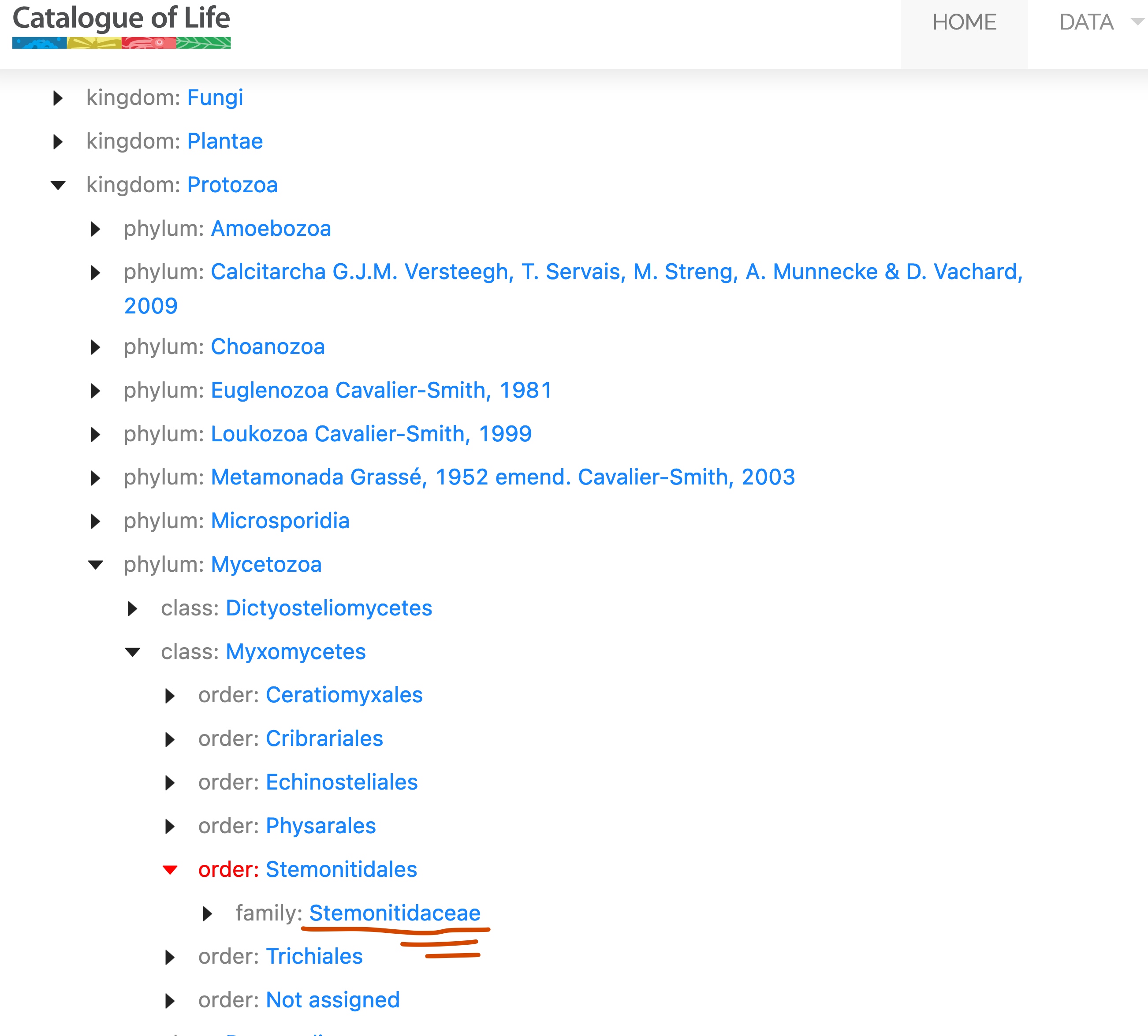As a curator I (may) want a subclass of "Not latin" that reflects plant ...