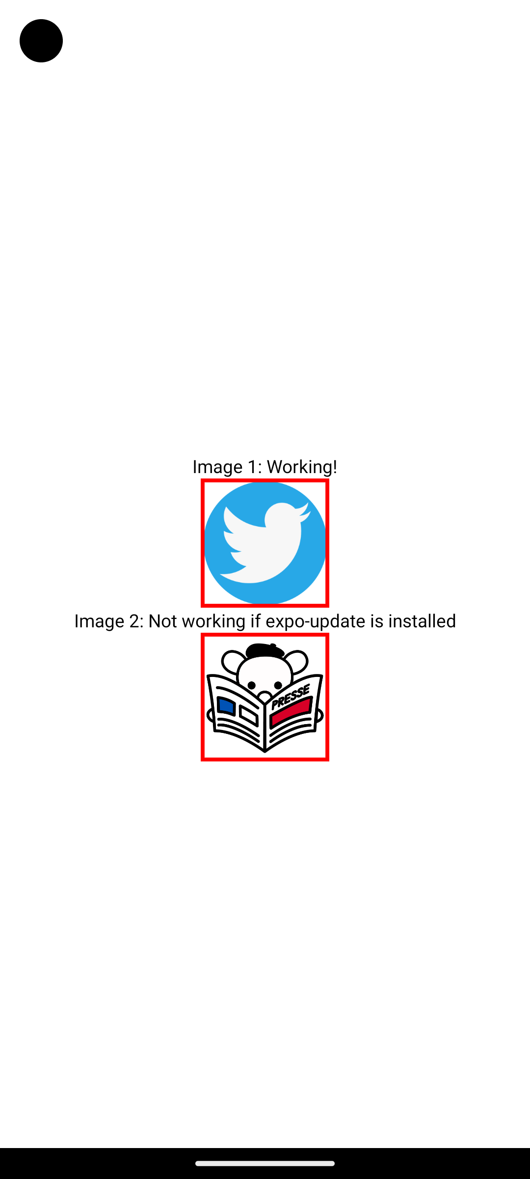 Expo Updates Sdk 49 Static Images Are Not Loaded When Expo Updates