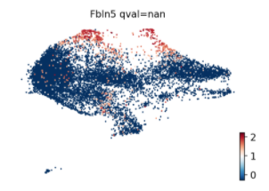 cr.pl.heatmap() returns RuntimeError: Fatal model failure · Issue #794 · theislab/cellrank · GitHub