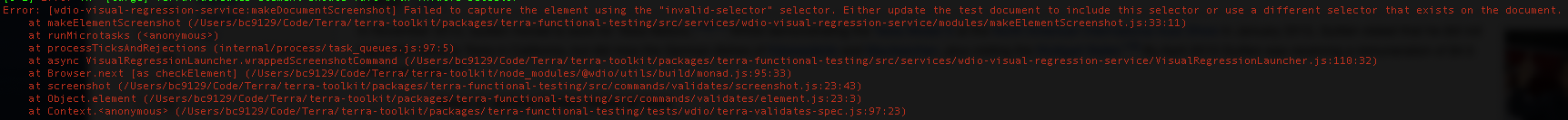 [terra Functional Testing] Invalid Selector Error Message By Benbcai · Pull Request 605
