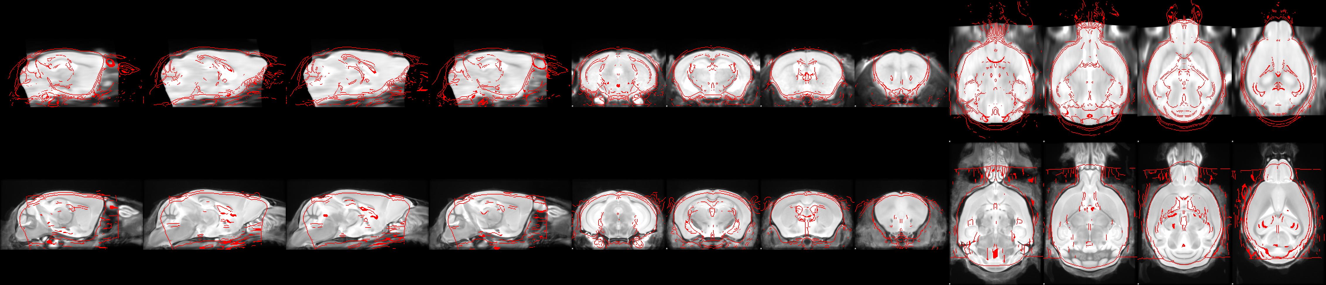 fast_commonspace misregistration · Issue #97 · CoBrALab/RABIES · GitHub