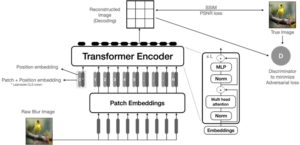 GitHub - lihkinVerma/Image-Reconstruction-by-Vision-Transformer: This ...