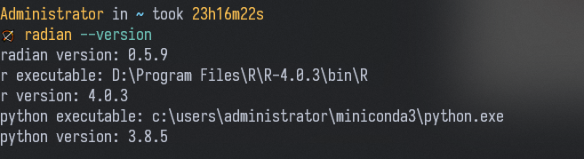 How to interrupt with ctrl+c in vscode terminal · Issue #248 · randy3k/radian · GitHub