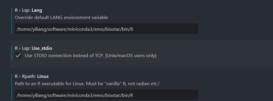 Package Languageserver Installed But Can Not Load Correctly · Issue 2346