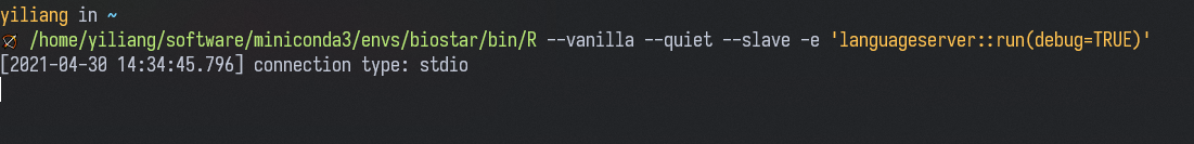 Cannot start R process to run languageserver · Issue #723 · REditorSupport/vscode-R · GitHub