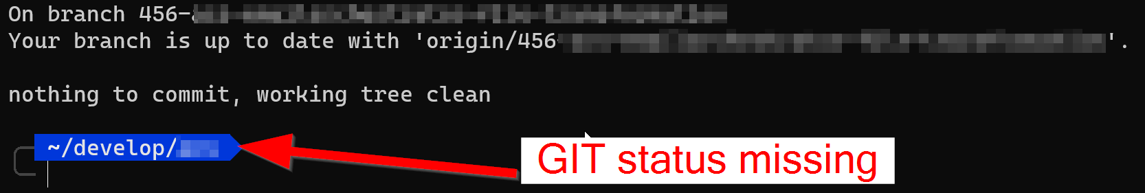 In one project the git status suddenly disappear · Issue #11699 · ohmyzsh/ohmyzsh · GitHub