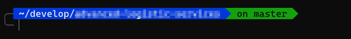In one project the git status suddenly disappear · Issue #11699 · ohmyzsh/ohmyzsh · GitHub