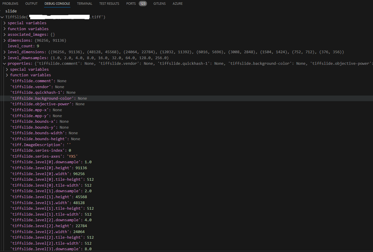 Handling of missing properties · Issue #89 · imi-bigpicture/wsidicomizer · GitHub