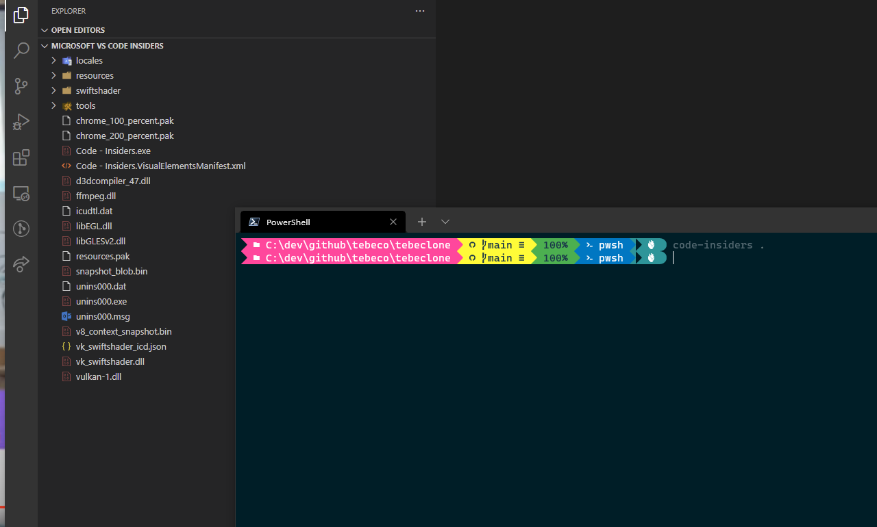 "code-insiders ." interpreted the folder as VsCode installation Folder ...