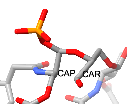 Interoperability with the OpenFF topology objects to enable streamlined ...