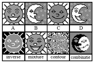GitHub - JLoodts/Simulation-of-associative-memory-networks: Dissertation of my Master in ...