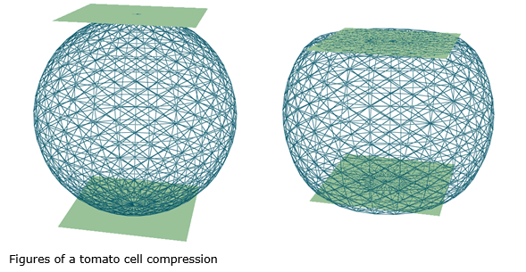 GitHub - JLoodts/Soft-tissue-simulation