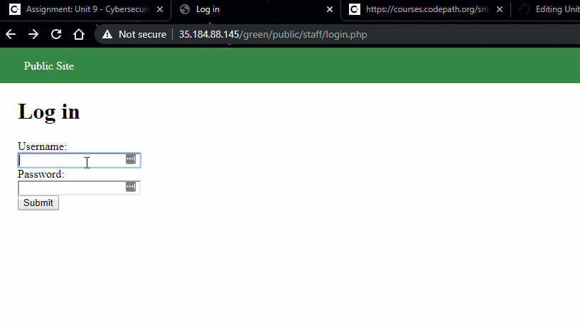 GitHub - navjotg33/Unit-9-Pentesting-Live-Targets