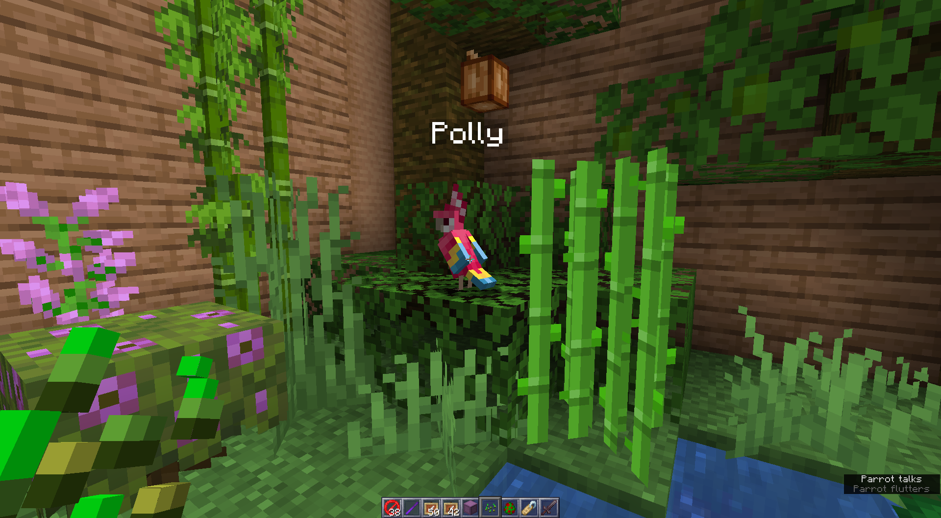 Parrots With Random Textures Lose Them When On Your Shoulder · Issue ...