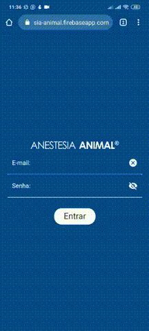 [Web] CanvasKit not rendering text · Issue #47041 · flutter/flutter · GitHub